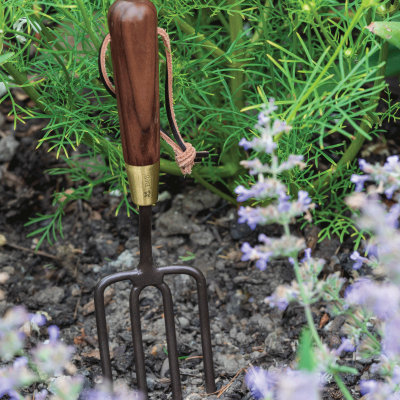 Burgon & Ball Round-Tined Fork | Garden Accessories | Bennetts of Derby